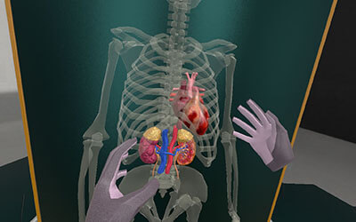 Anatomy Lab | Packet39